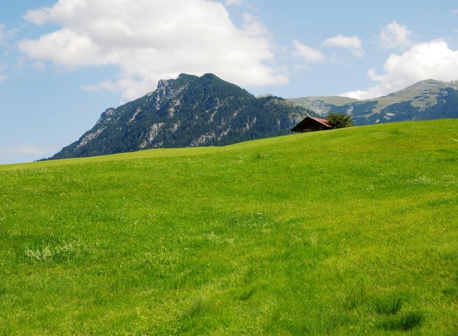 Modifiche alle modalità di controllo dei prati permanenti rientranti in ...