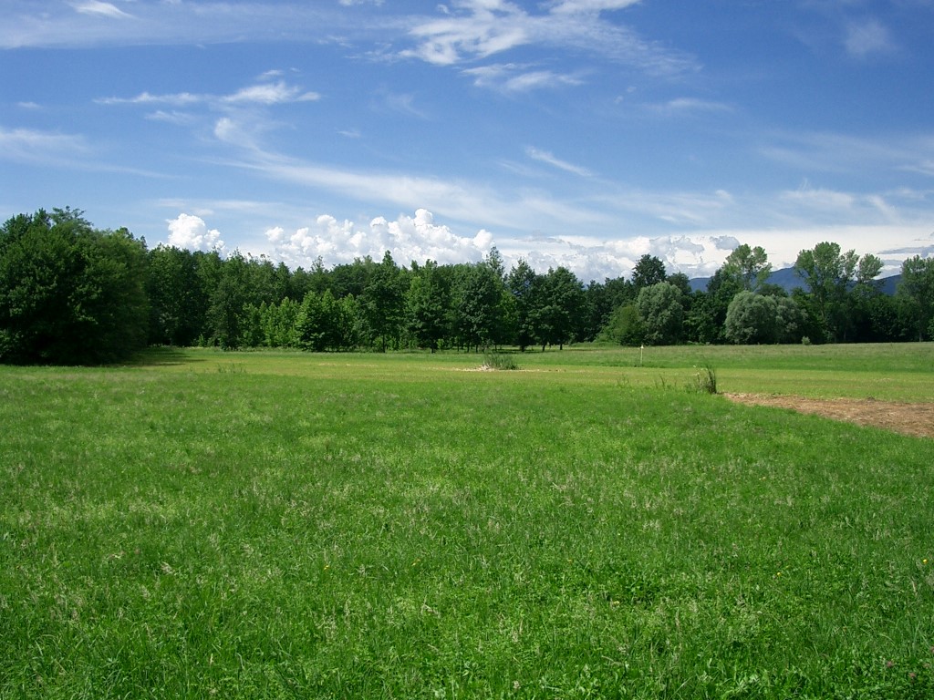 Nuova procedura AGEA per la conversione dei prati permanenti