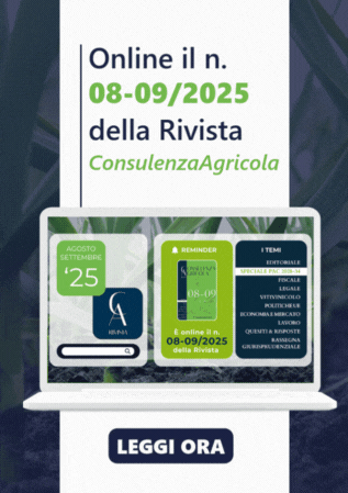 Bonus investimenti in nuovi beni strumentali: la compilazione del ...
