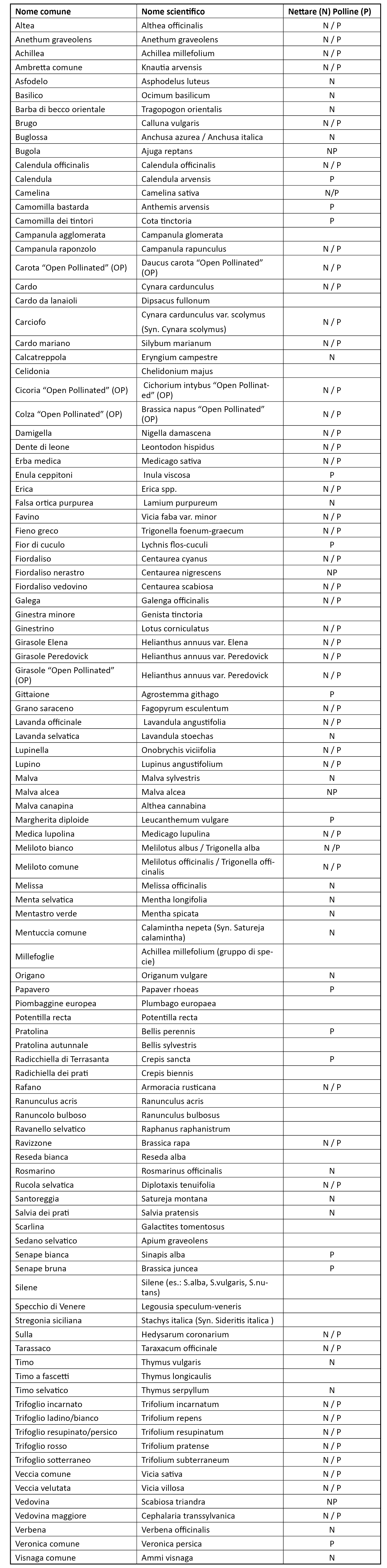 Eco-schema n. 5 nella PAC 2023-2027: misure per gli impollinatori